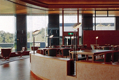 International Institute for Advanced Studies