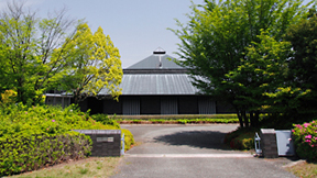 International Institute for Advanced Studies