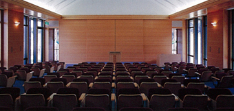 International Institute for Advanced Studies