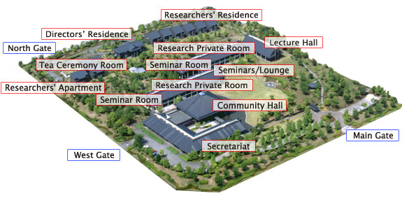 International Institute for Advanced Studies